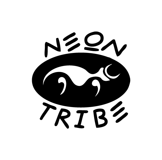 Fun Budget | Neontribe